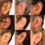 tipos de orejas2 | Blogichics | Belleza y Moda | Tips, Trucos ...